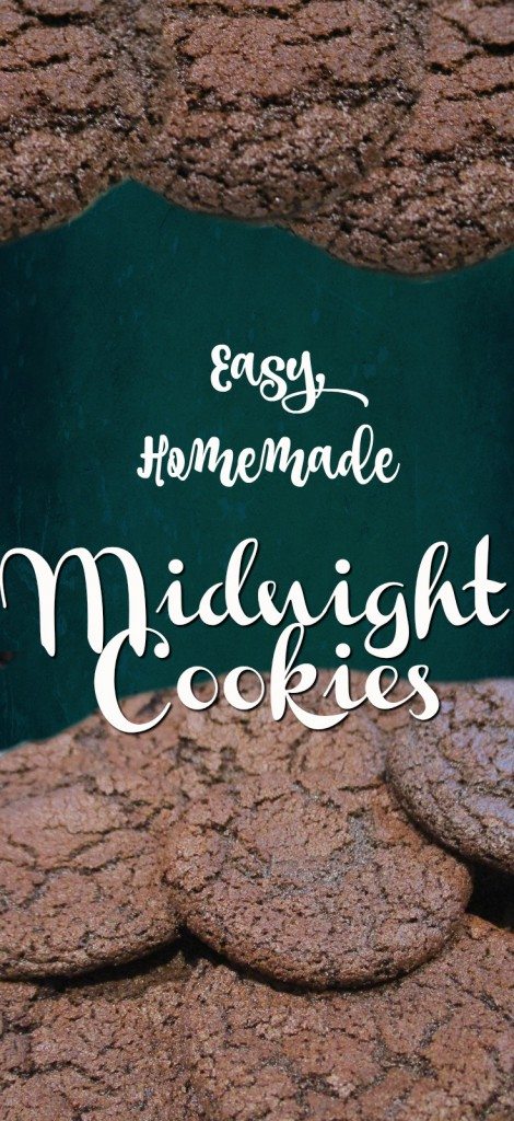 Easy, Homemade Midnight Cookies - The Mummy Toolbox