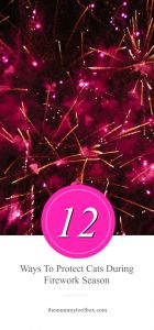 12 Ways To Protect Cats During Firework Season - The Mummy Toolbox