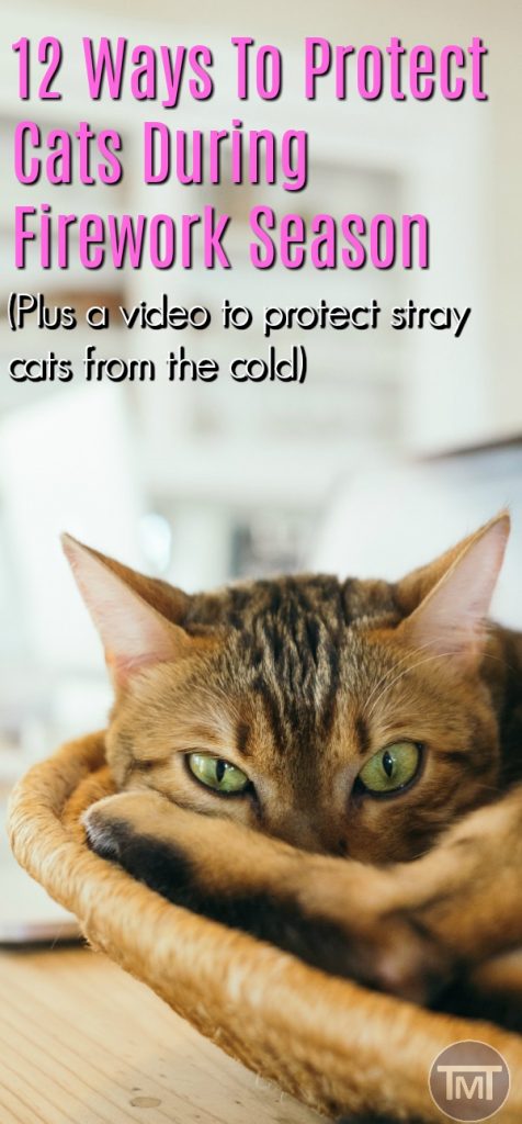 12 Ways To Protect Cats During Firework Season - The Mummy Toolbox